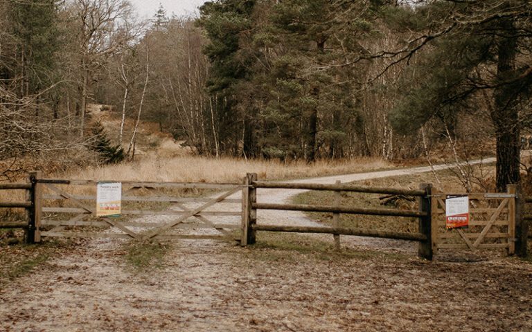 What Does It Mean if There's a Utility Easement on My Property ...