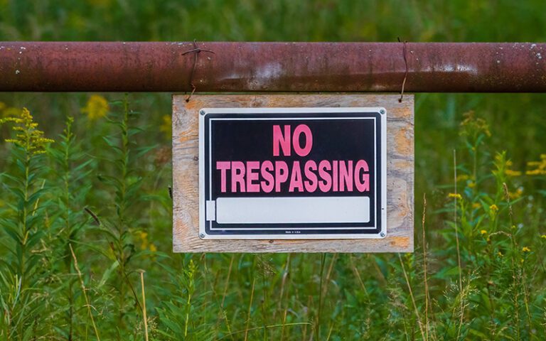 What Does It Mean if There's a Utility Easement on My Property ...